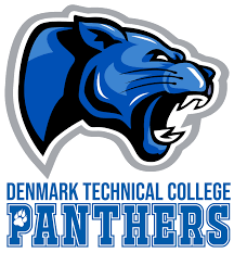 Login - Denmark Technical College